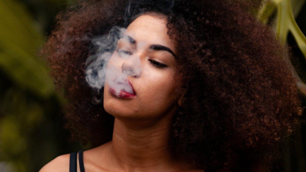 How to Store Your Smoking Herbs for Maximum Freshness | Best One Hitter Dugout